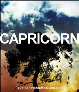 27 Capricorn Quotes That Will Leave You Speechless