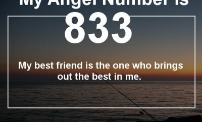 Discover the truth about Angel Number 833 in this Special Report.