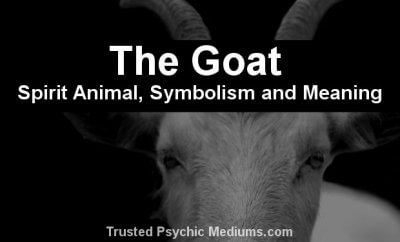 The Goat Spirit Animal - A Complete Guide to Meaning and Symbolism.