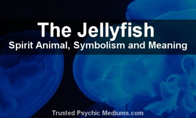 The Jellyfish Spirit Animal - A Complete Guide.