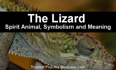 The Lizard Spirit Animal - A Complete Guide to Meaning and Symbolism.