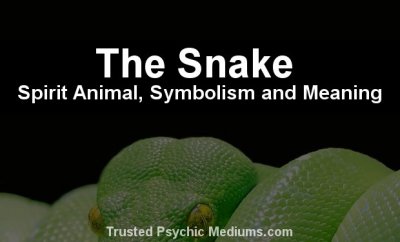 The Snake Spirit Animal - A Complete Guide to Meaning and Symbolism