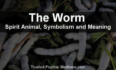 The Worm Spirit Animal - A Complete Guide to Meaning and Symbolism.