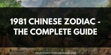 All You Need to Know about 1981Chinese Zodiac - The Year of the Rooster