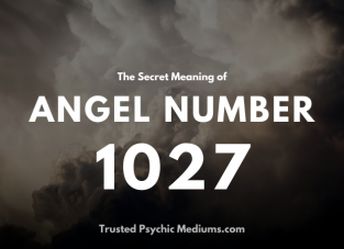 Angel Number 1027 means that love is coming. Discover how...