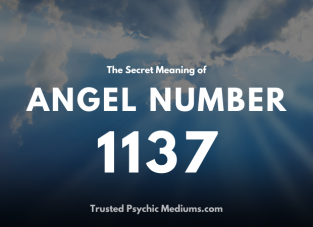 No one can believe the real meaning of Angel Number 1137