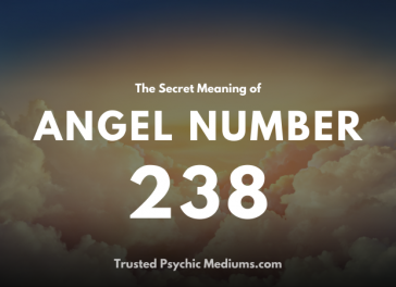 Most people get it totally wrong when it comes to Angel Number 238...