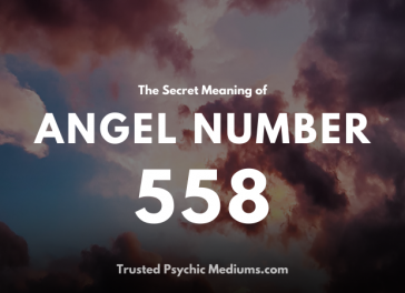 The Meaning of Angel Number 558 leaves most people shocked. Here's why...