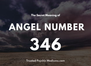 You can use angel number 346 to embrace light… Find out how.