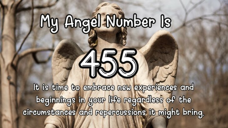 Angel Number 455 And Its Meaning