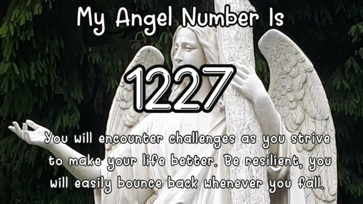What is encrypted in Angel Number 1227? Let's find out...