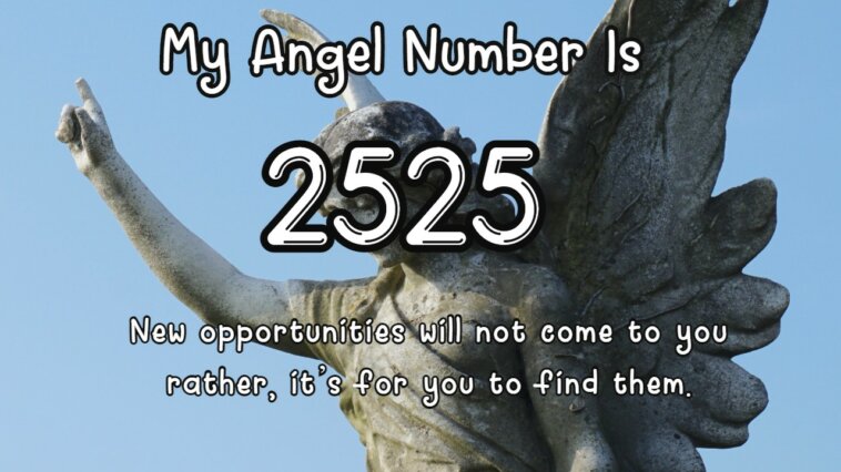 Unraveling the heavenly message given by Angel Number 2525
