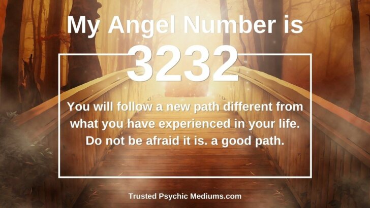 Angel Number 520 is a Warning from your Angels. Discover what...