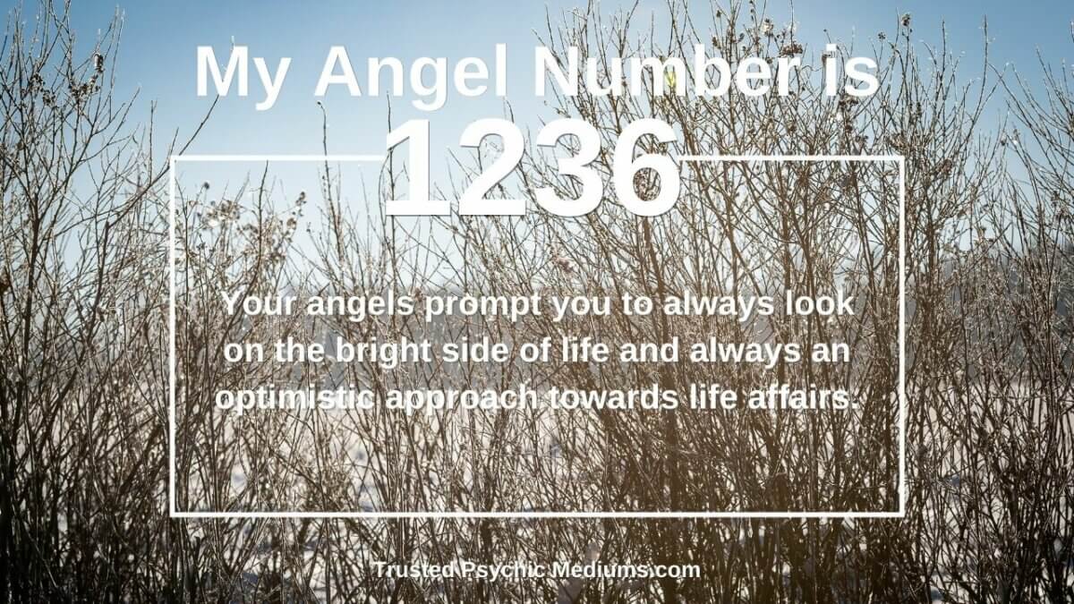 Angel Number 1236 is powerful. Discover why...