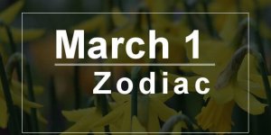 March 23 Zodiac - Complete Birthday Horoscope & Personality Profile