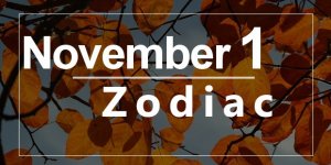 November 21 Zodiac - Complete Birthday Horoscope & Personality Profile